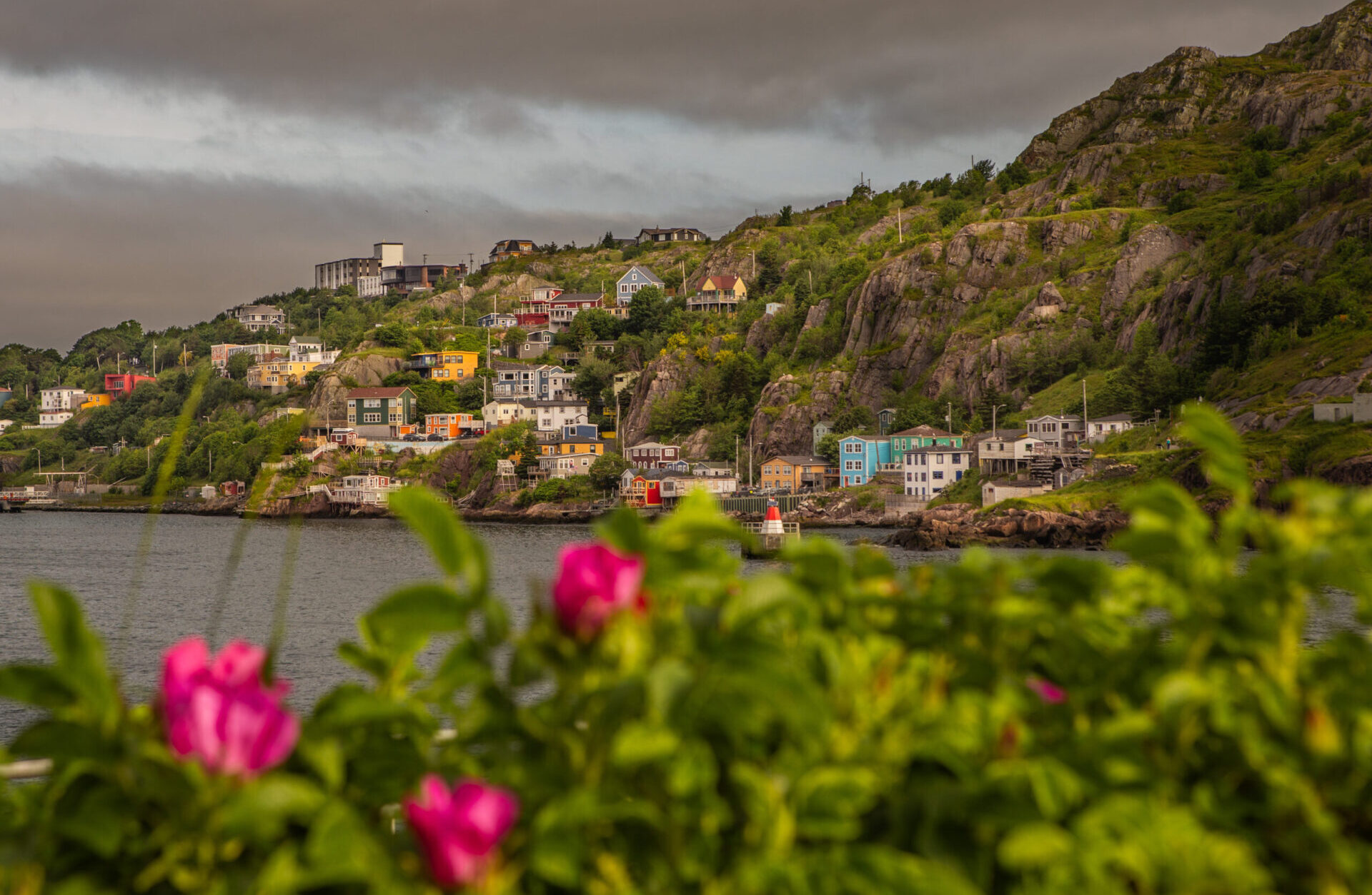 Map of Newfoundland: The Ultimate 2026 Logistics & Drive Guide