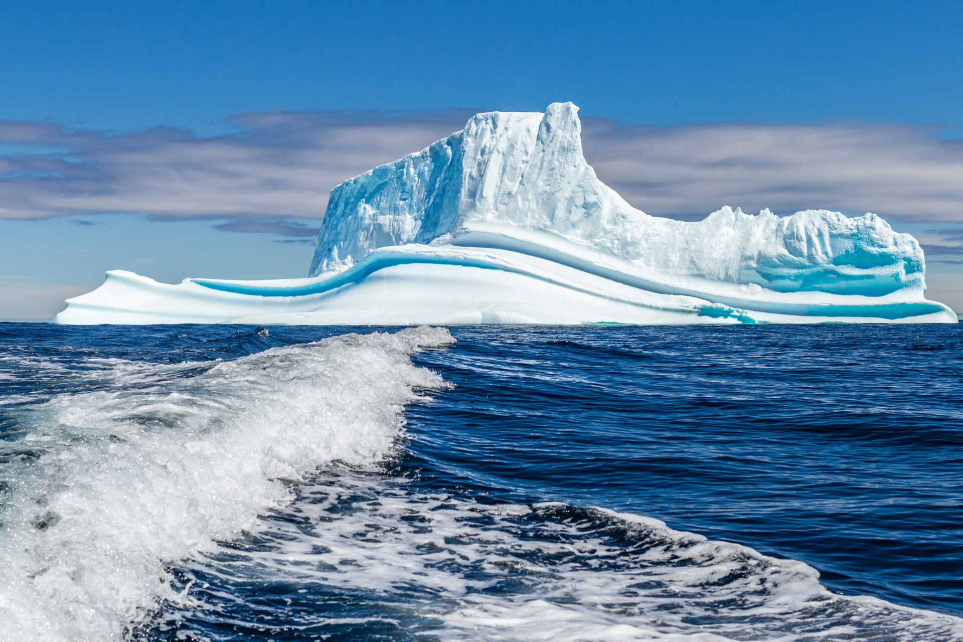 Newfoundland Iceberg Logistics & Tour Guide for 2026
