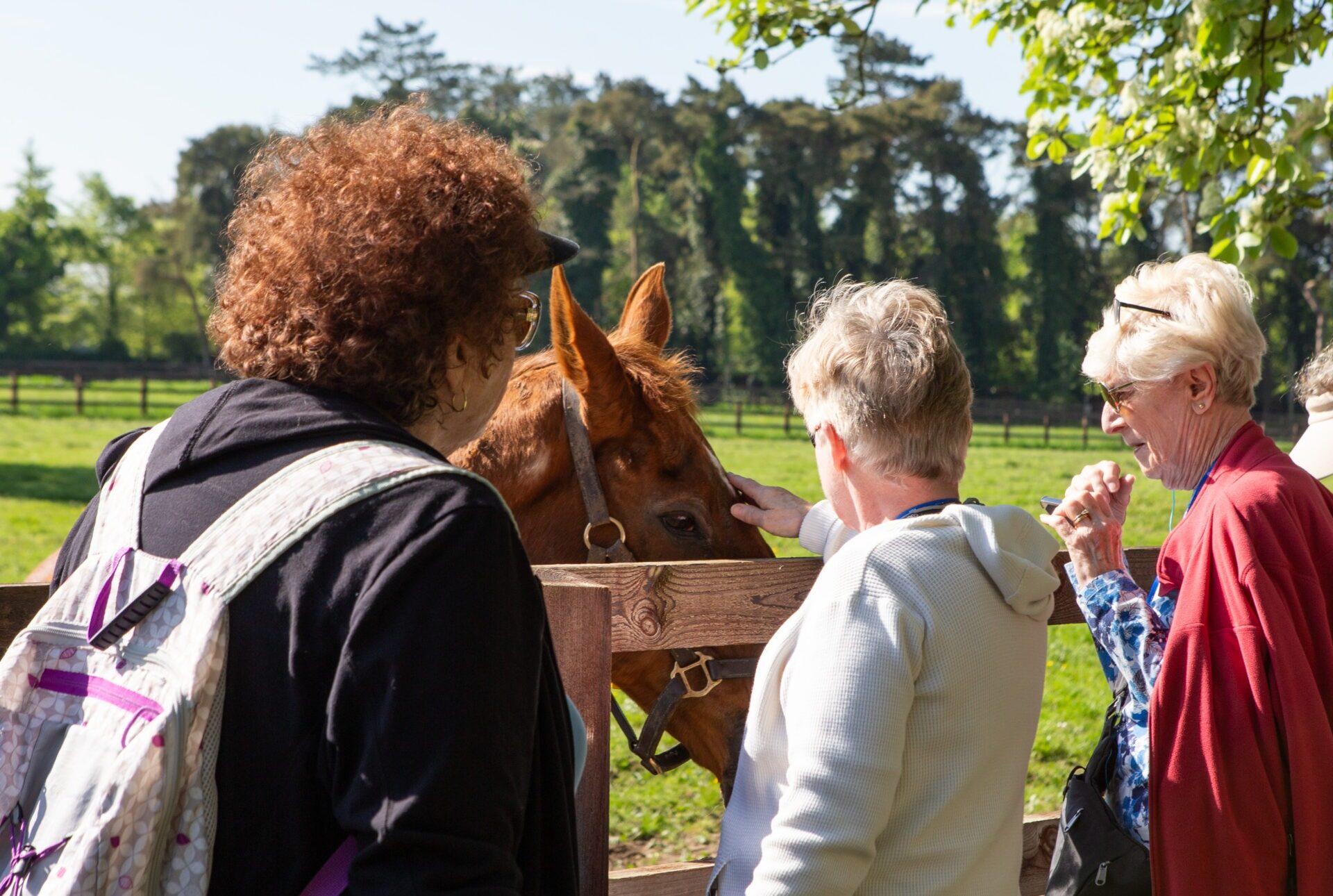 Irish National Stud & Garnish Island: 2026 Photographer’s Guide